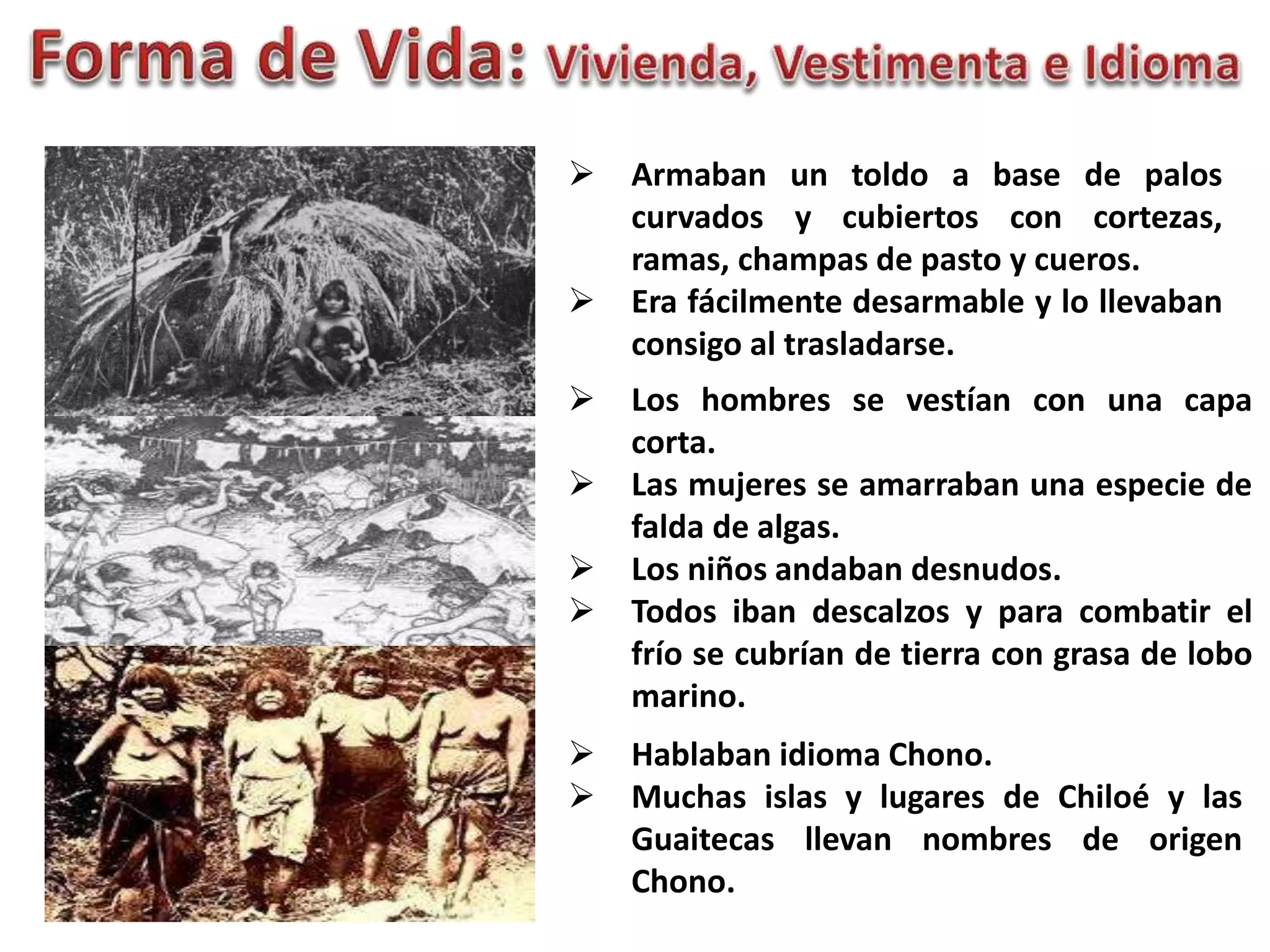Chonos | PPT