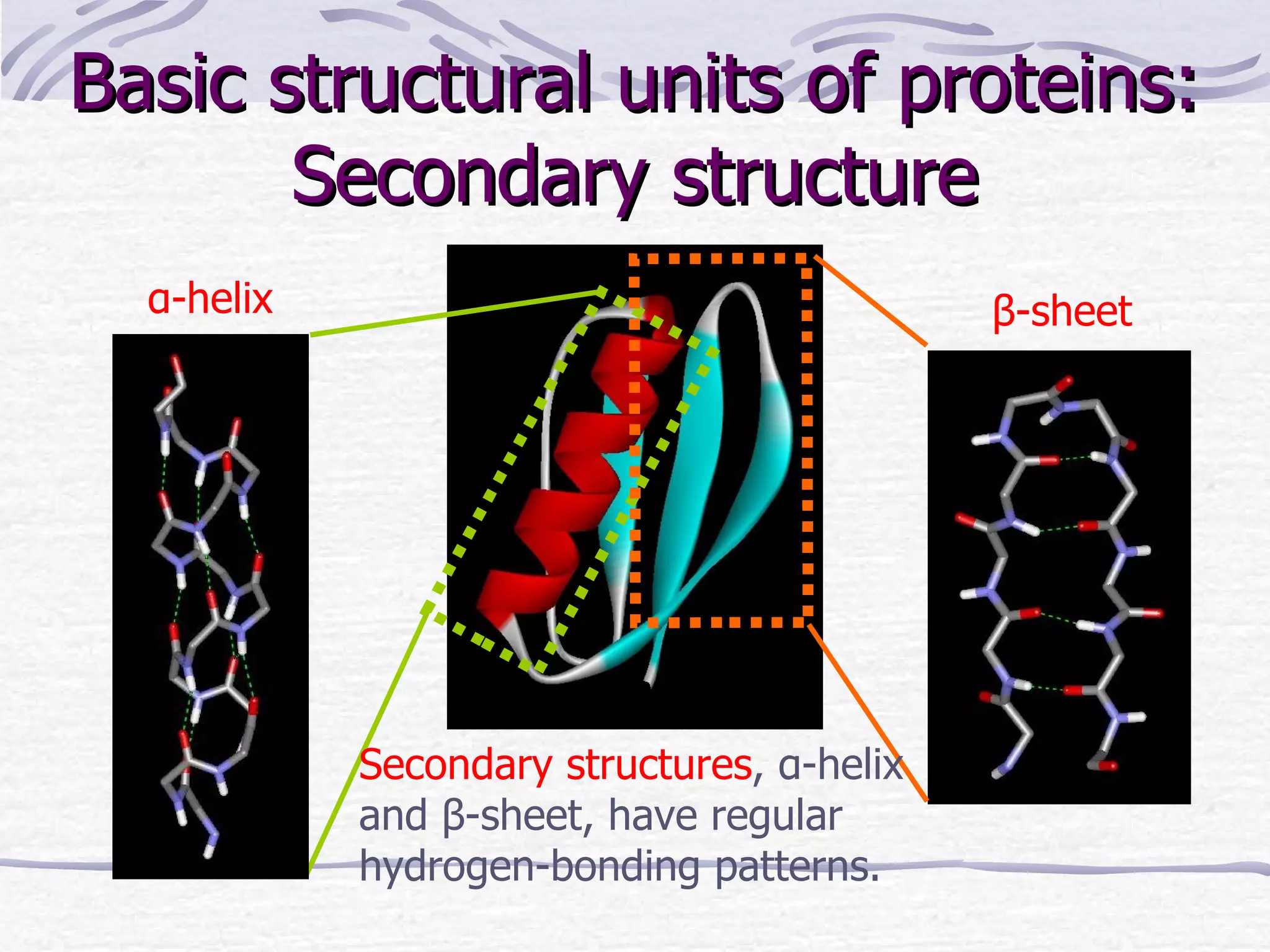 Chon structures 2 | PPT