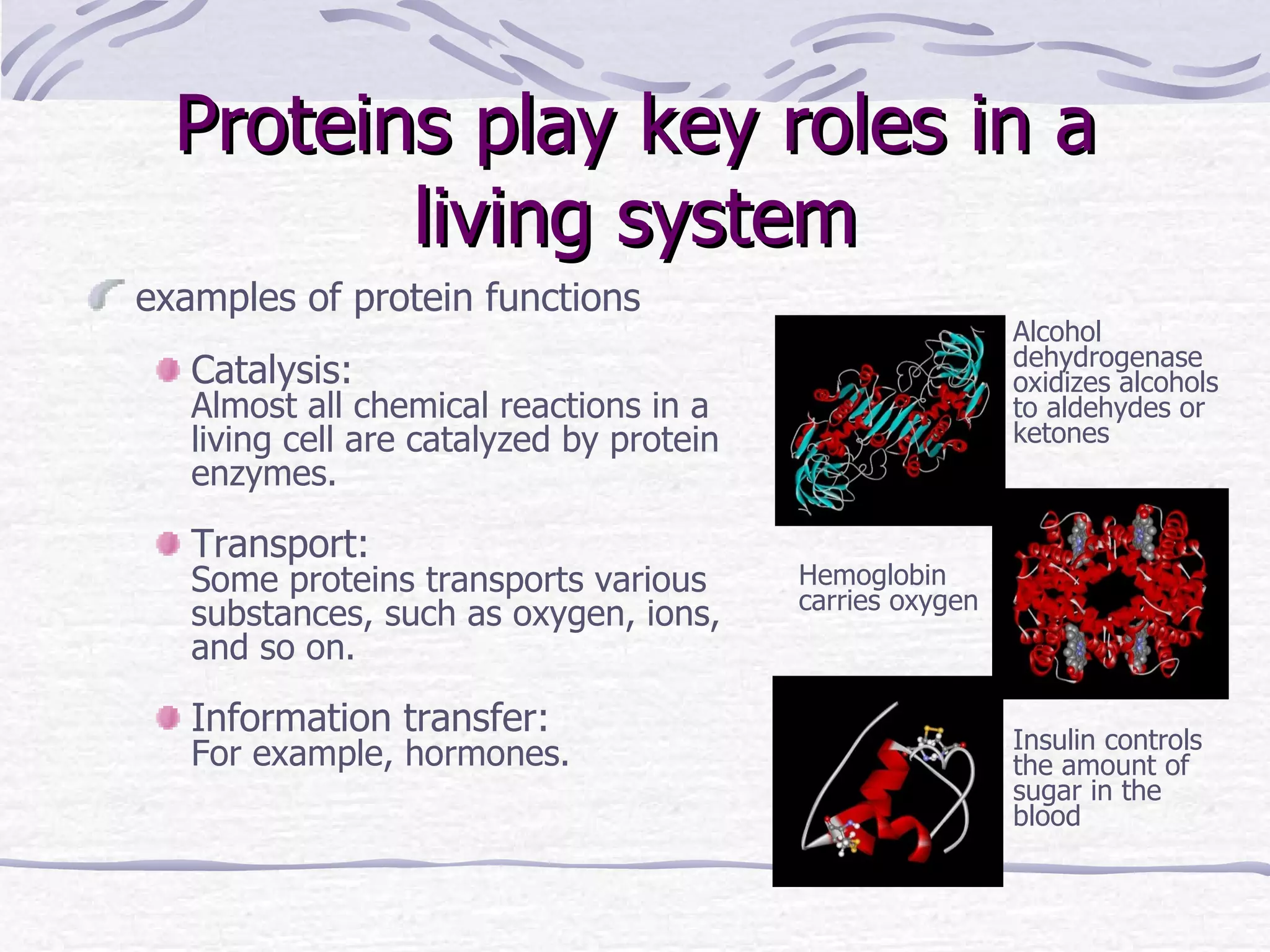 Chon structures 2 | PPT