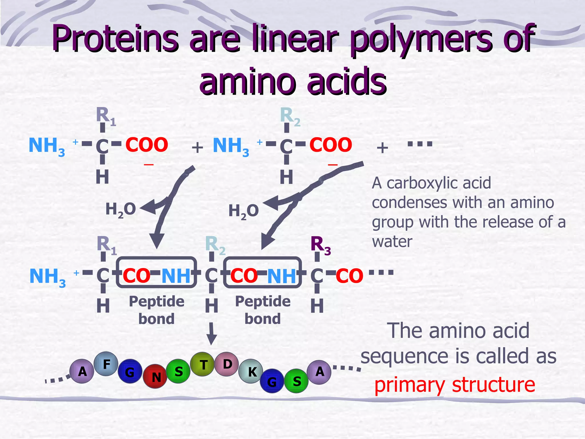 Chon structures 2 | PPT