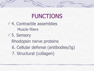 Chon structures 2 | PPT