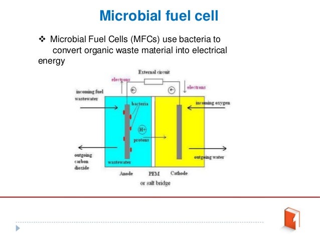 microbial fuel cell
