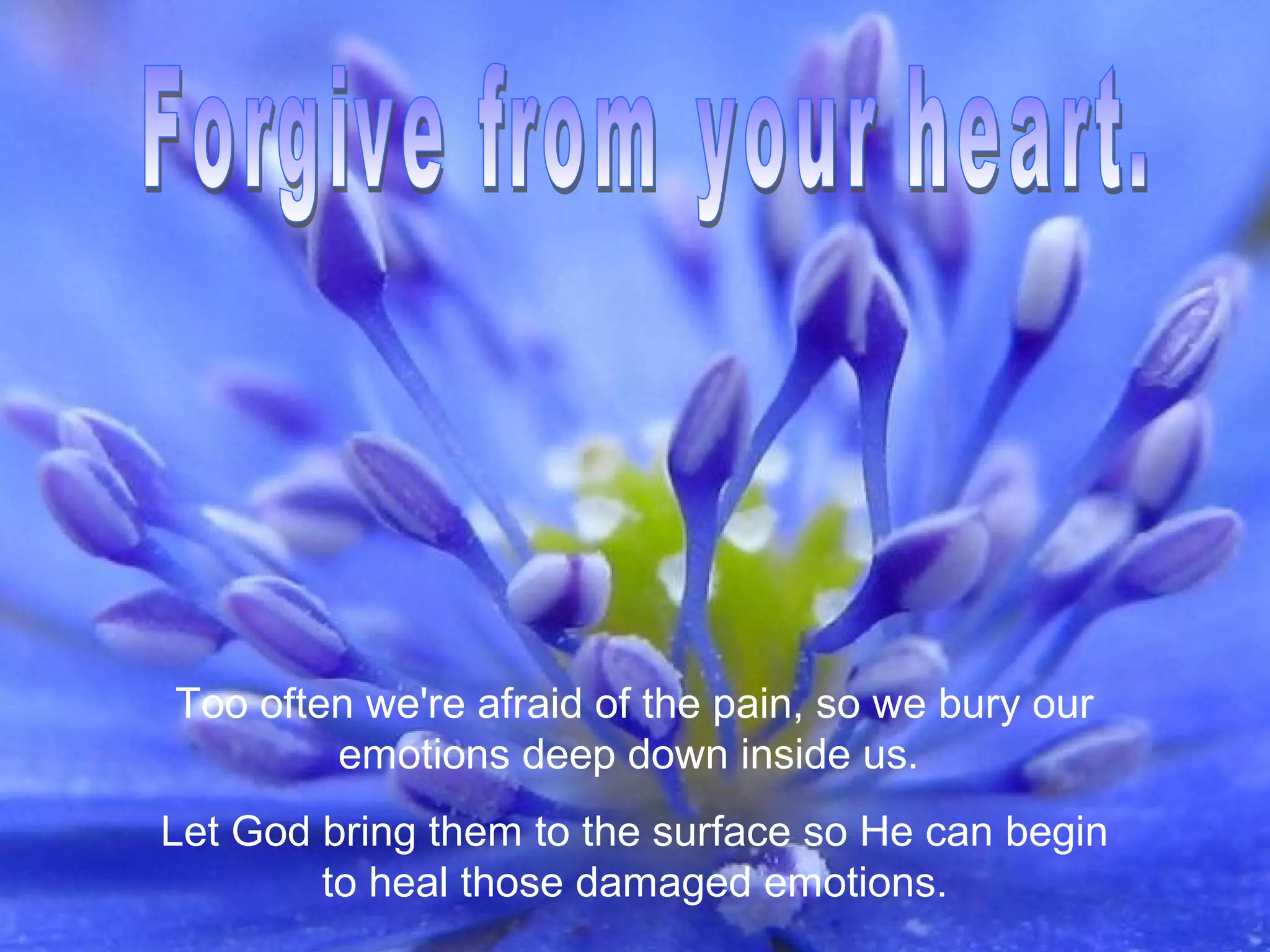 Choose forgiveness | PPS