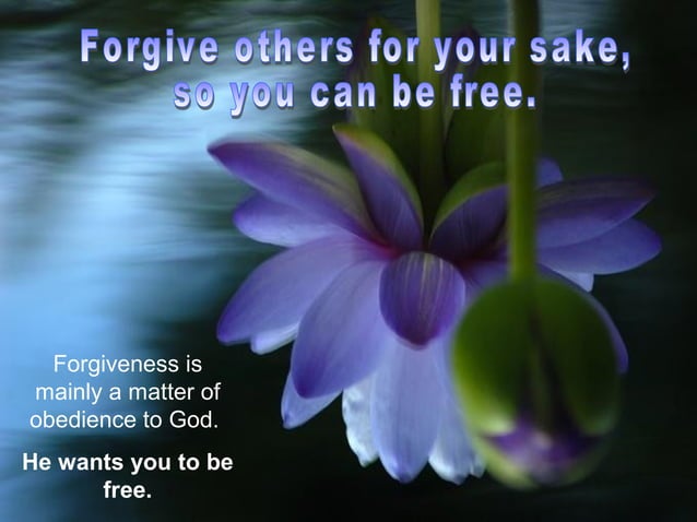 Choose forgiveness | PPS
