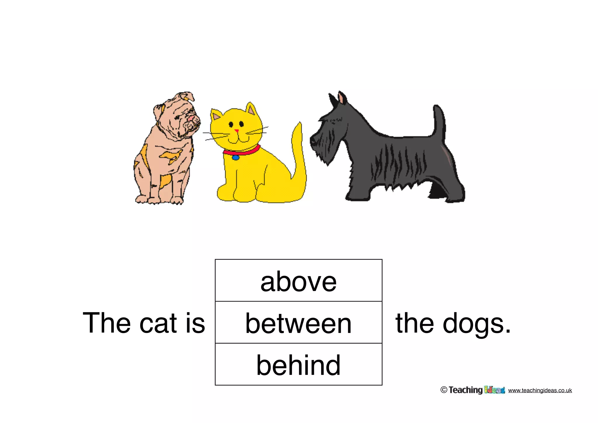 preposition | PDF | Dogs | Pets