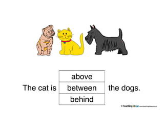 preposition | PDF | Dogs | Pets