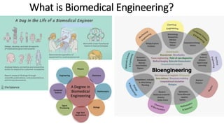 Biomedical Engineering Research