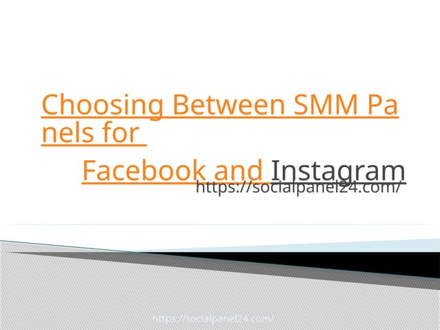 Choosing Between SMM Panels for Facebook and Instagram.pptx