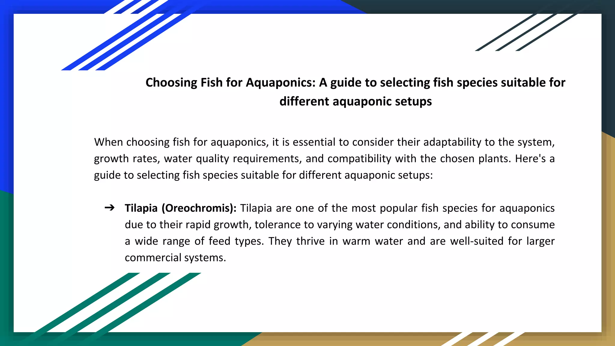 Choosing Fish for Aquaponics.pptx