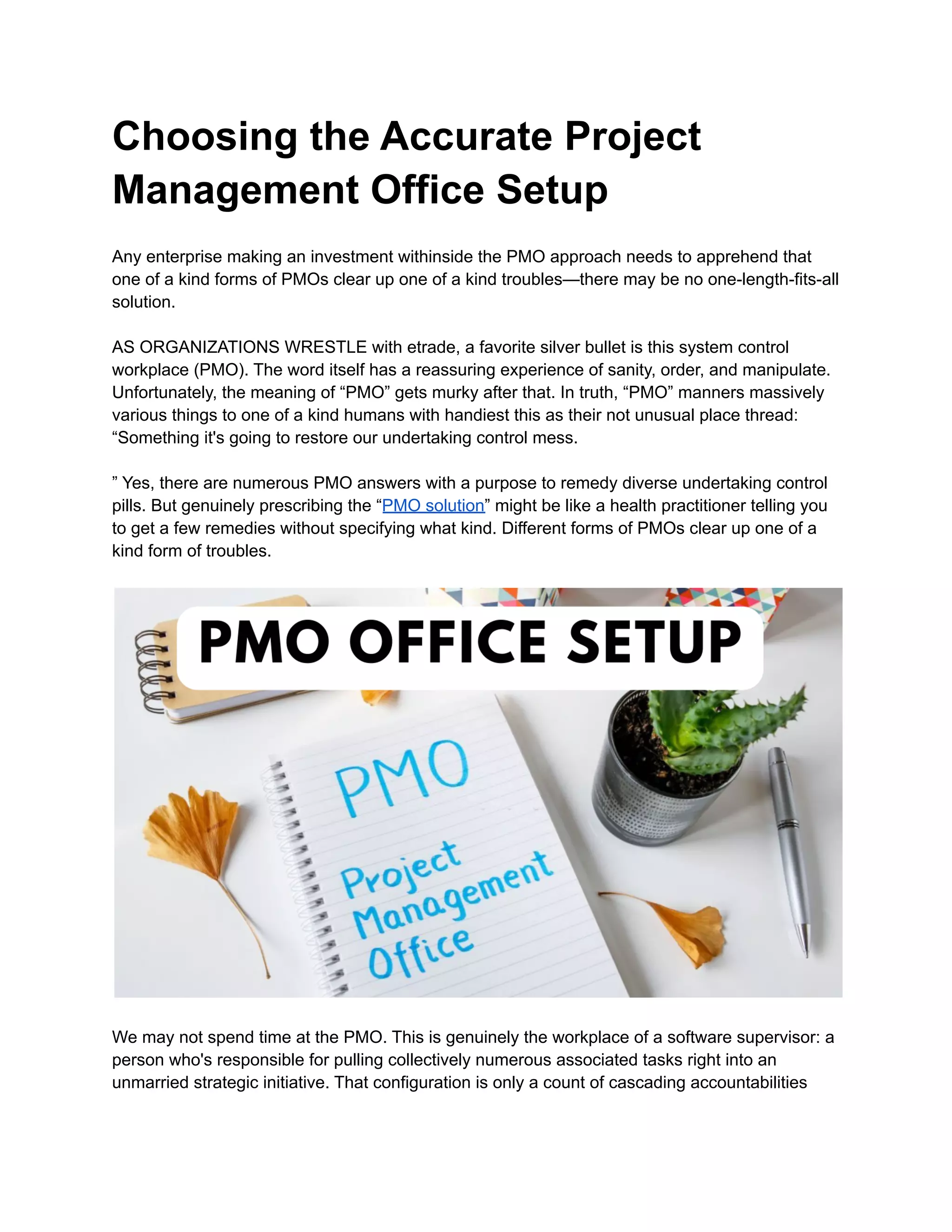 Choosing the Accurate Project Management Office Setup.pdf