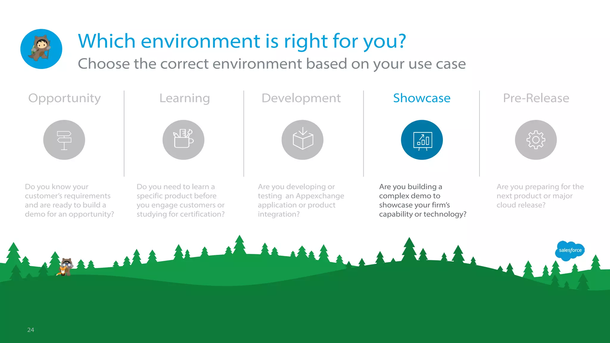 Choosing the Right Demo Environment (Salesforce Partners) | PDF