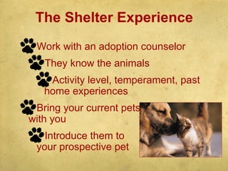 Choosing_the_Right_Pet for you and your family | PPT