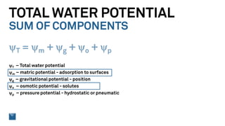 Choosing the Right Water Potential Sensor | PDF