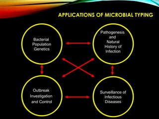 Choosing the Right Microbial Typing Method: A Quantitative Approach | PPTX