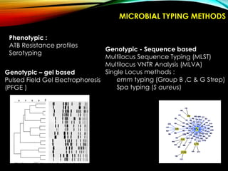 Choosing the Right Microbial Typing Method: A Quantitative Approach | PPTX