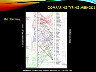 Choosing the Right Microbial Typing Method: A Quantitative Approach | PPTX