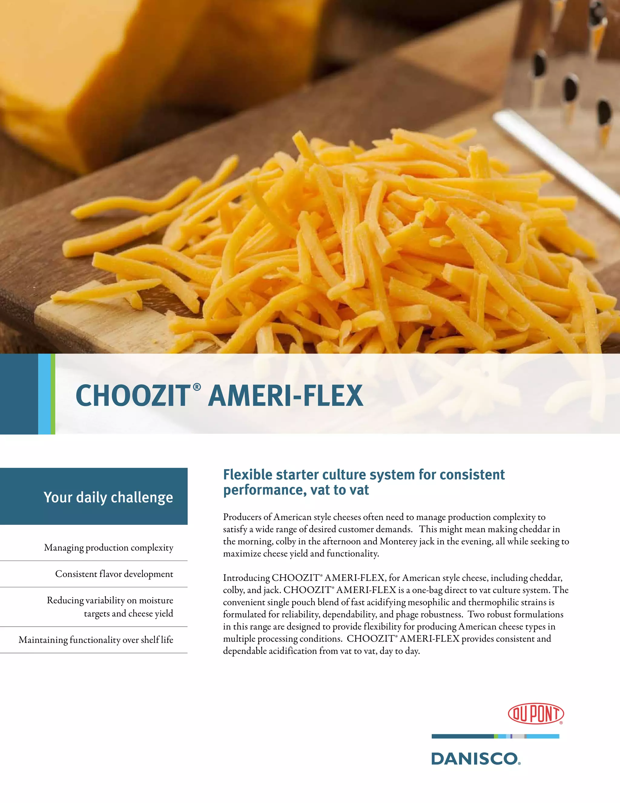 CHOOZIT ® AMERI-FLEX | PDF