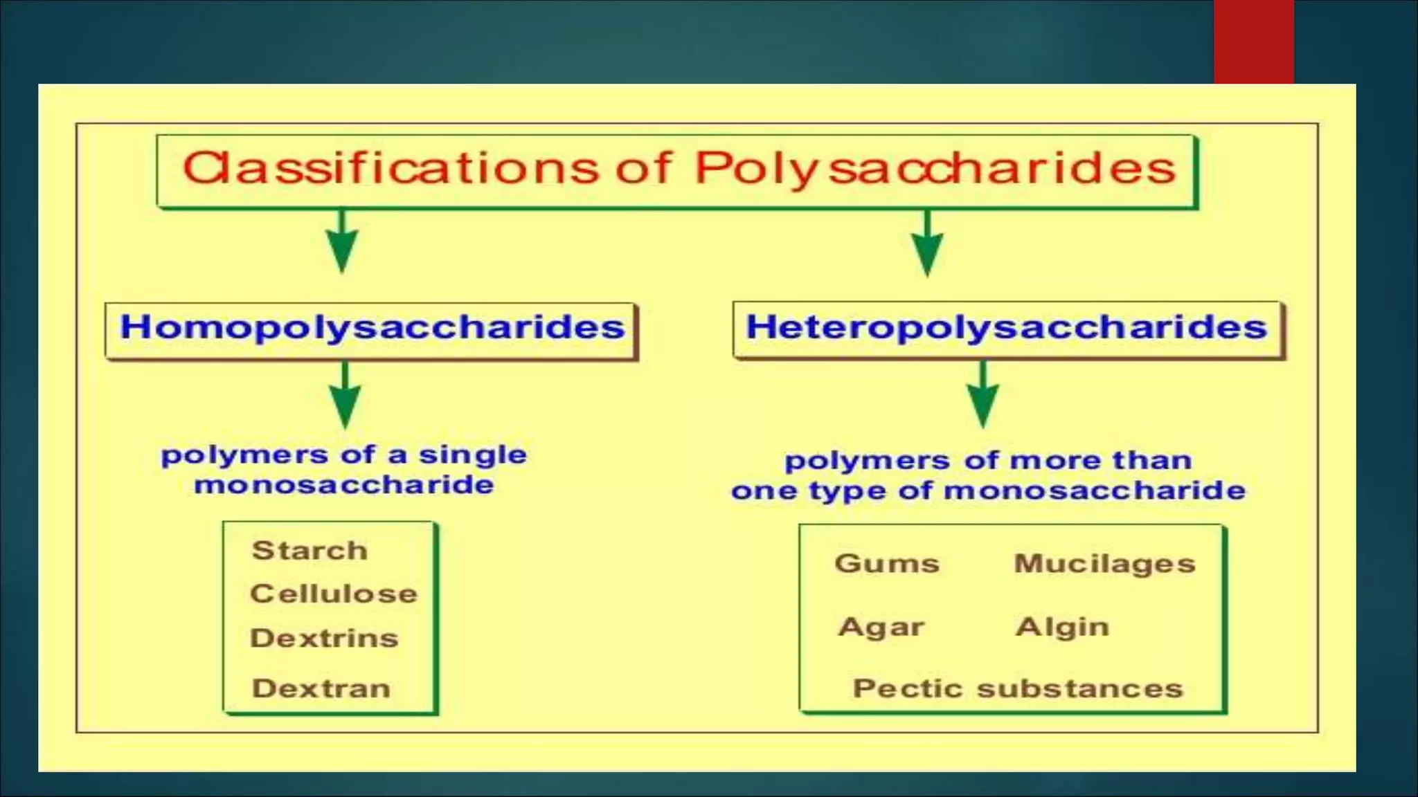 CHO presentation.ppt