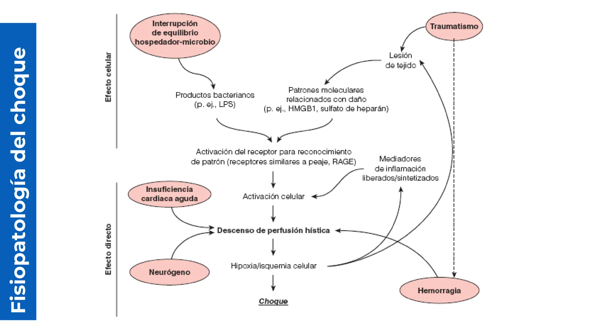 TIPOS DE CHOQUE: Definicion , fisiopatologia, clasificacion y ...