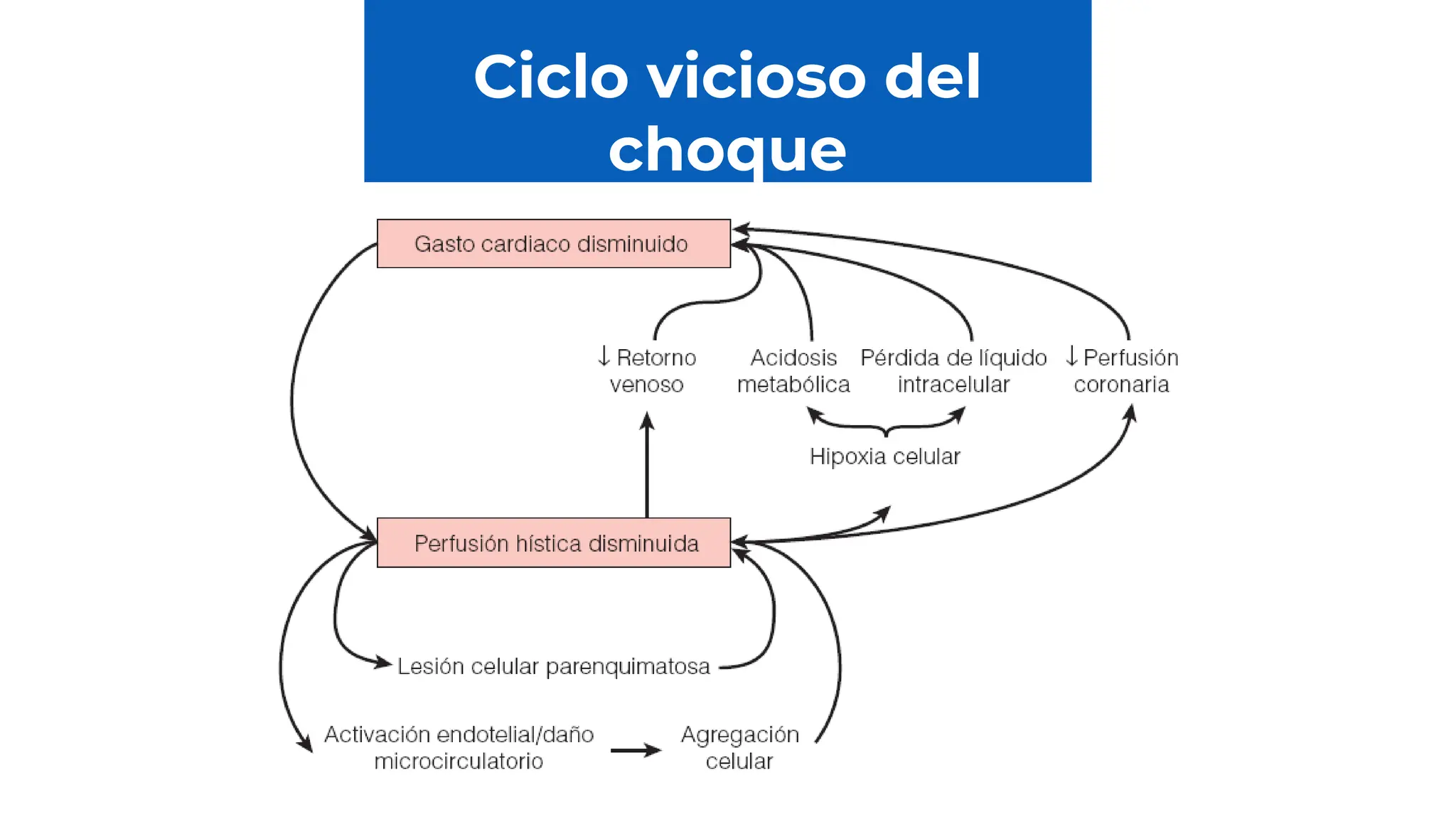 TIPOS DE CHOQUE: Definicion , fisiopatologia, clasificacion y ...