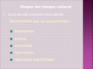 Choque cultural | PPTX