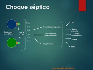 Choque septico | PPT
