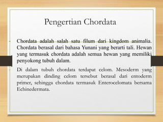 Chordata | PPTX