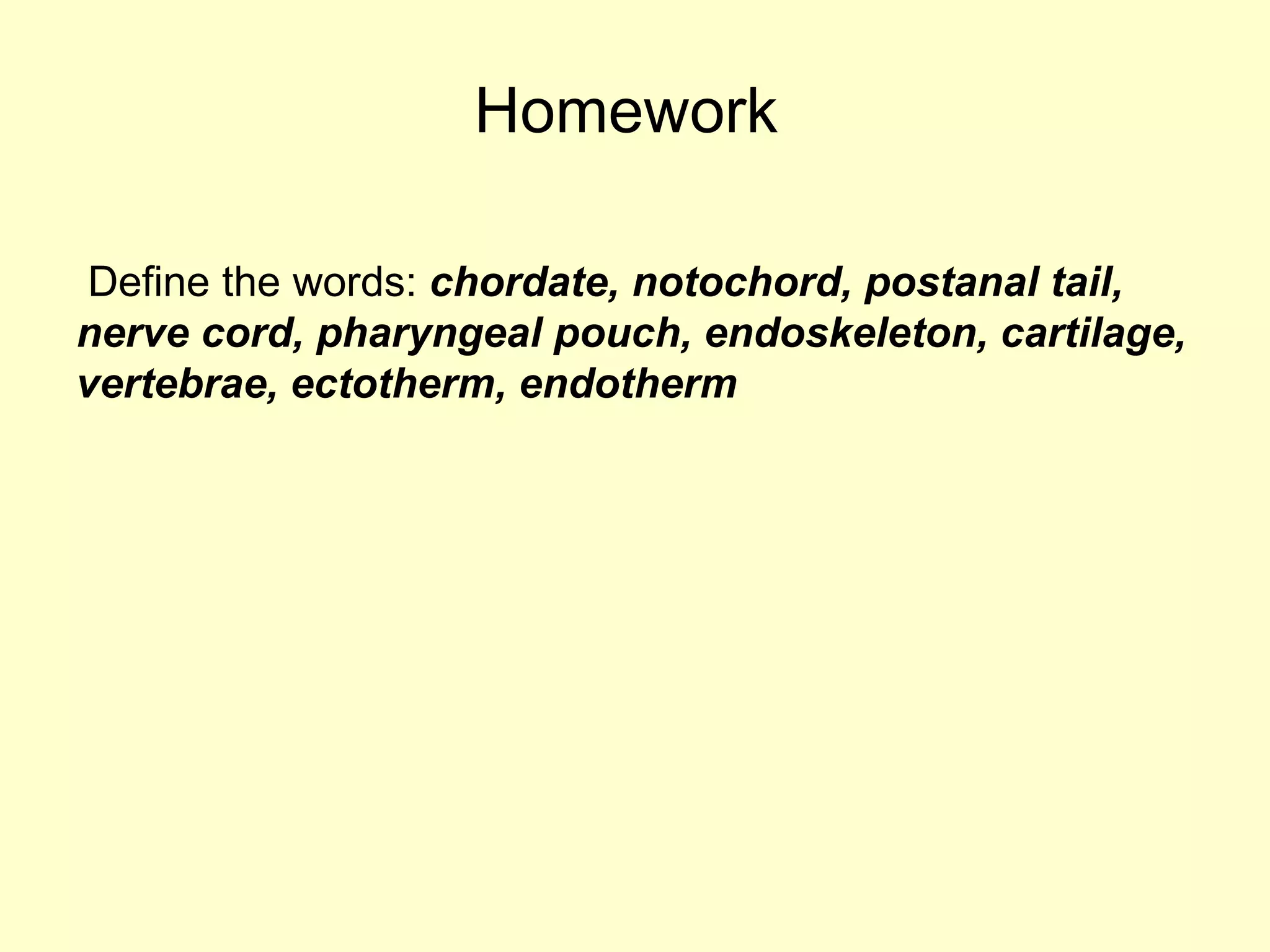 Chordates and vertebrates | PPT