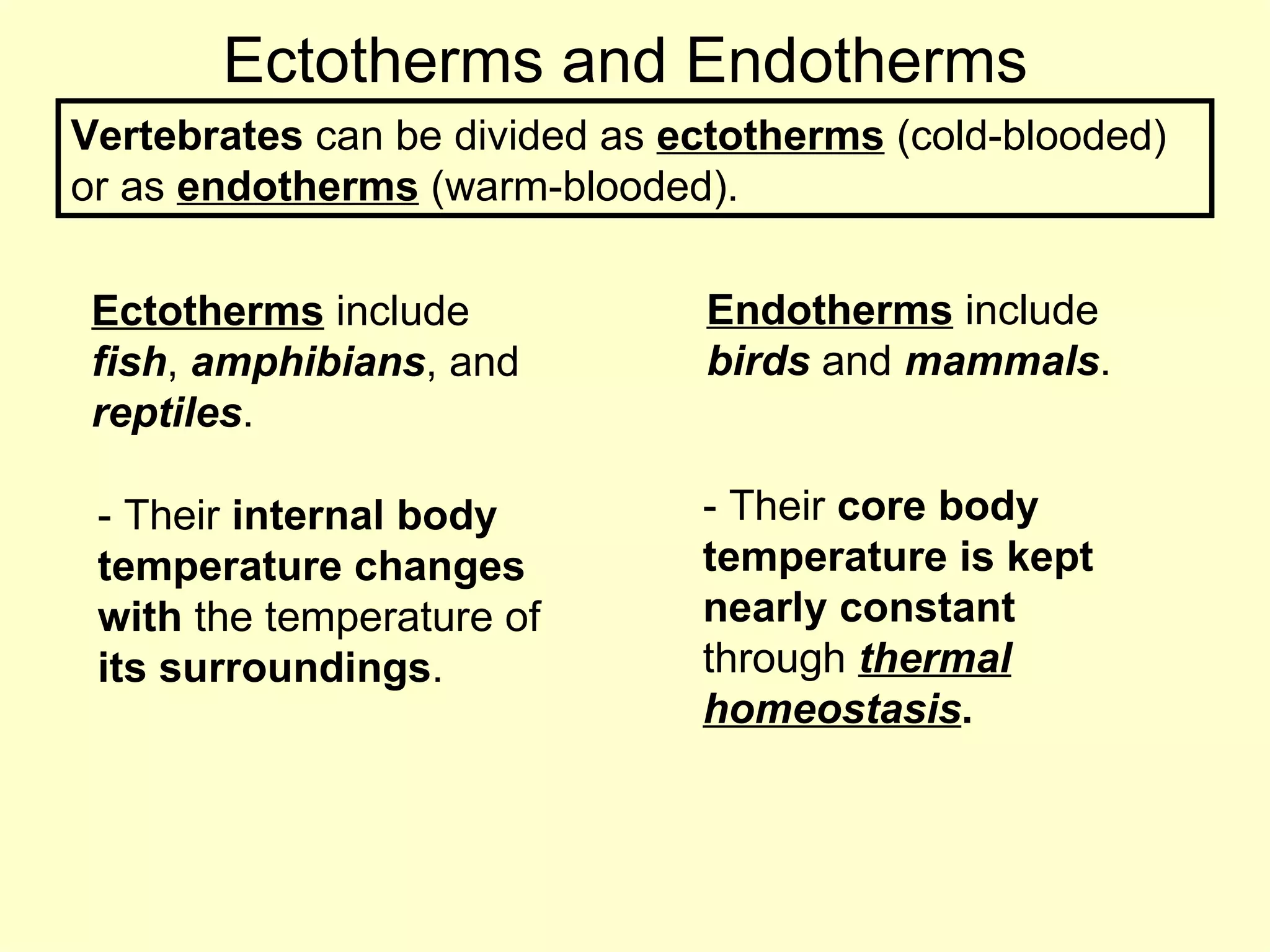 Chordates and vertebrates | PPT