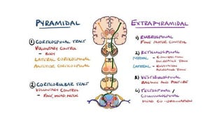INVOLUNTARY MOVEMENT DISORDER - CHOREA AND ATHETOSIS | PPTX