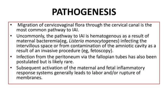 Chorioamnionitis | PPTX