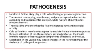 Chorioamnionitis | PPTX