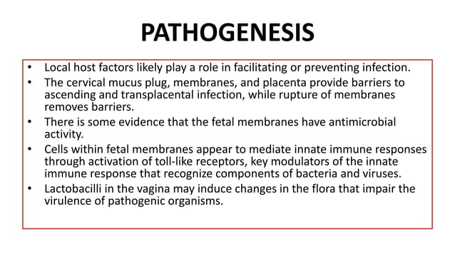 Chorioamnionitis | PPTX