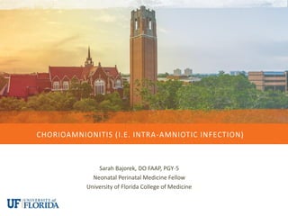 Chorioamnionitis presentation and management | PDF