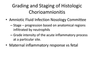 Chorioamnionitis presentation and management | PDF