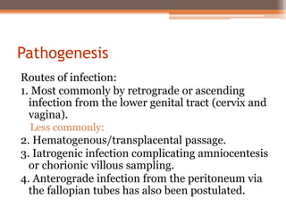 Chorioamnionitis and PROM - Nahrain University | PPTX