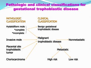choriocarcinoma ppt.pptx