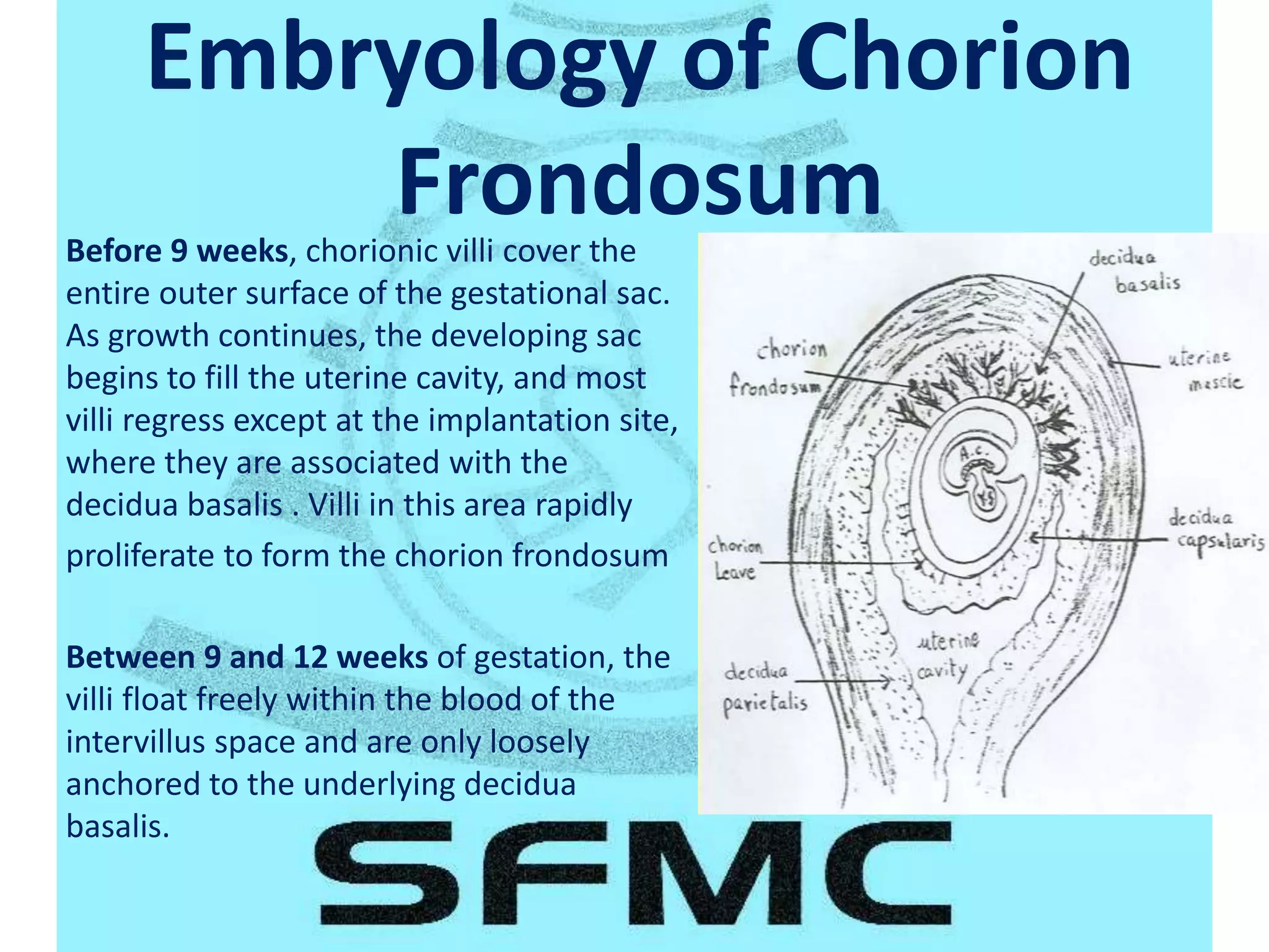 Chorion biopsy ( Chorion Villus Sampling) | PPT