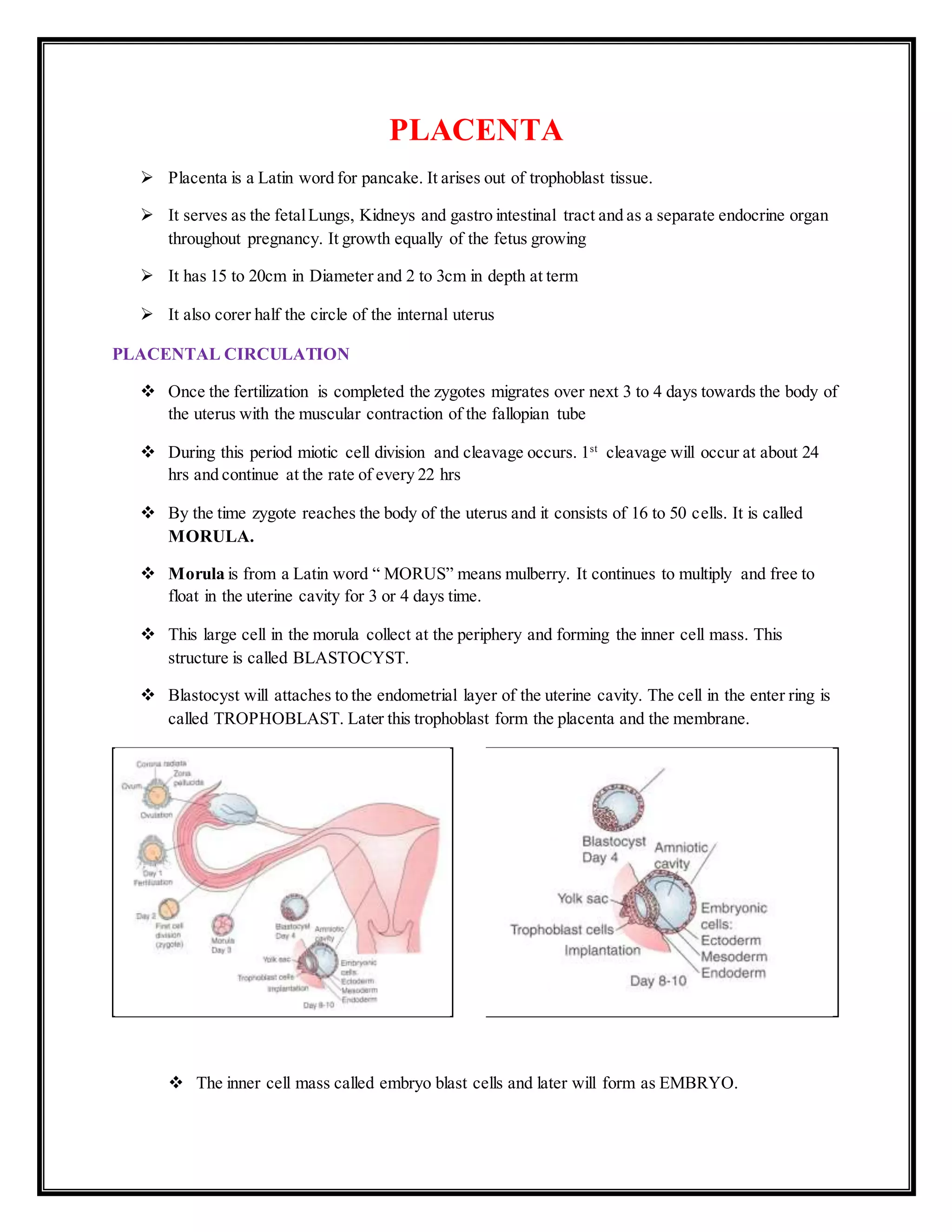 Chorionic villi copy | DOCX