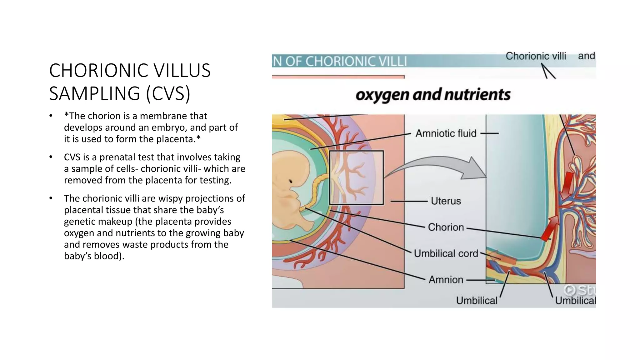 CHORIONIC VILLUS SAMPLING (CVS) Group Presentation.pptx