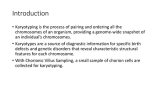 CHORIONIC VILLUS SAMPLING (CVS) Group Presentation.pptx