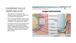 CHORIONIC VILLUS SAMPLING (CVS) Group Presentation.pptx