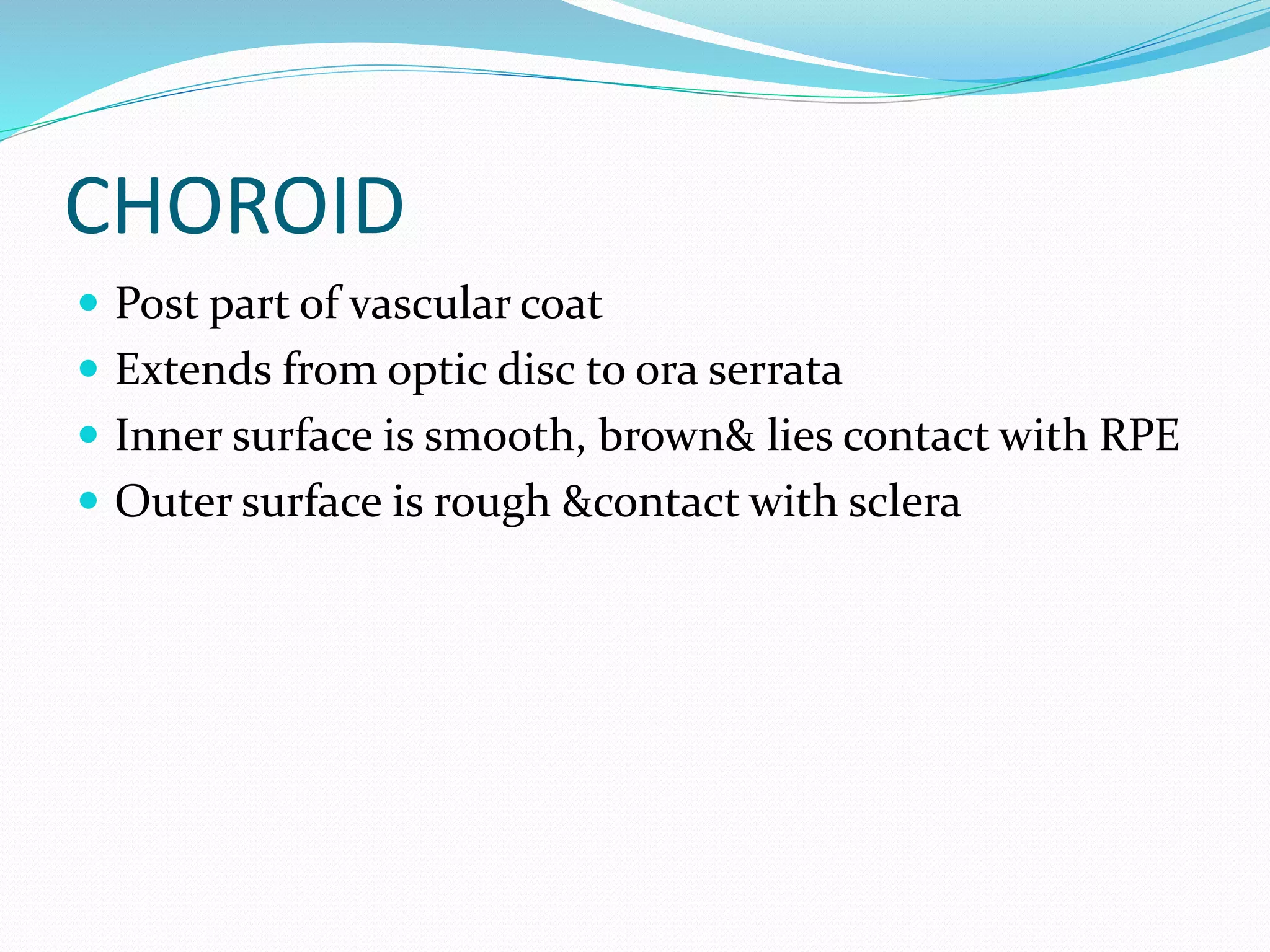 Choroid | PPTX