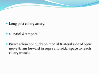 Choroid | PPTX | Eye and Vision Conditions | Diseases and Conditions
