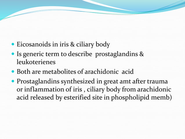 Choroid | PPTX | Eye and Vision Conditions | Diseases and Conditions
