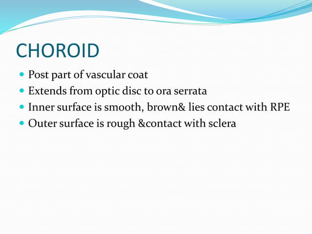 Choroid | PPTX | Eye and Vision Conditions | Diseases and Conditions