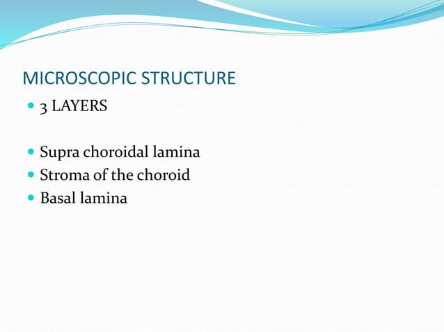 Choroid | PPTX | Eye and Vision Conditions | Diseases and Conditions