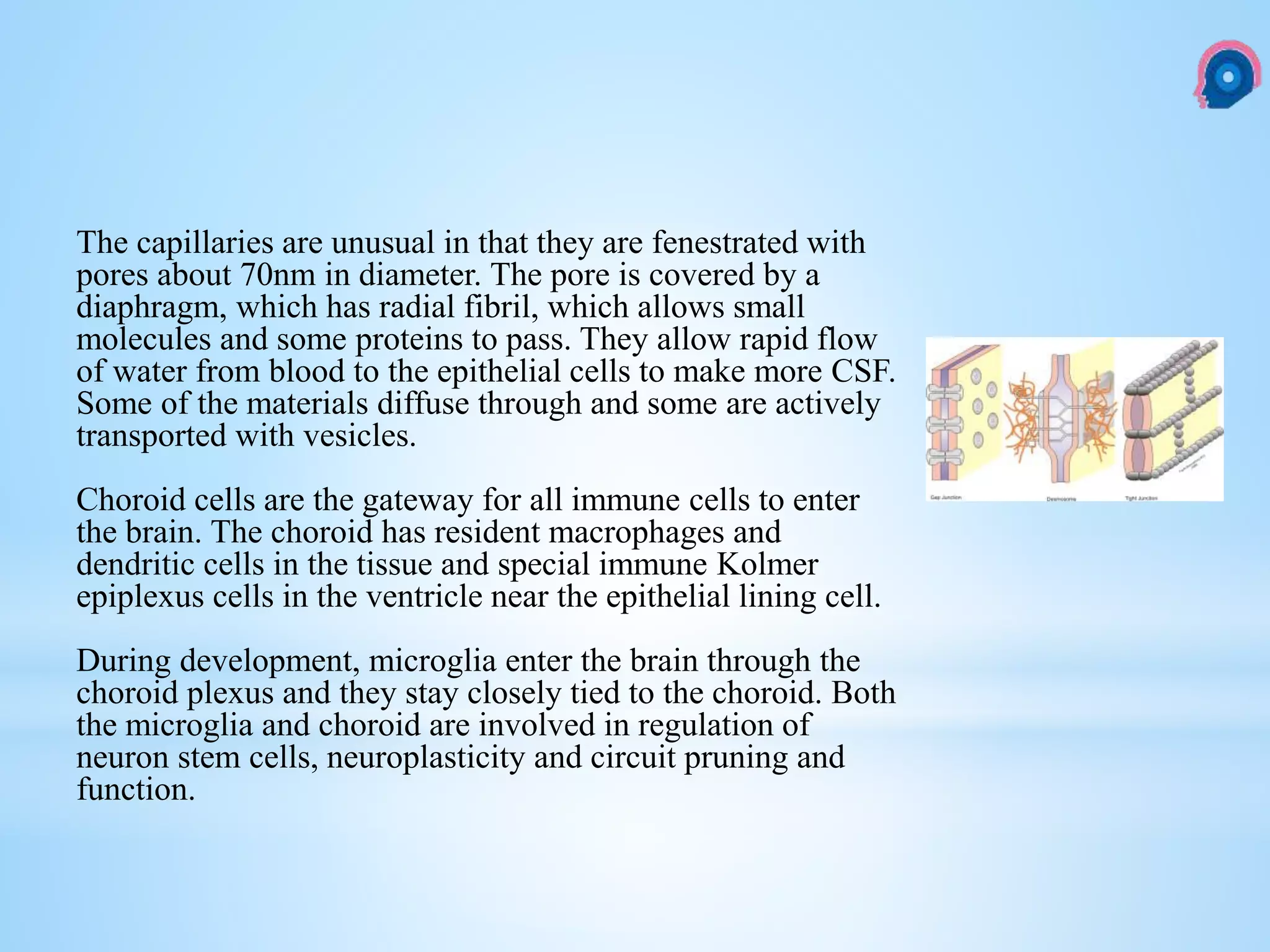 Choroid plexus | PPTX