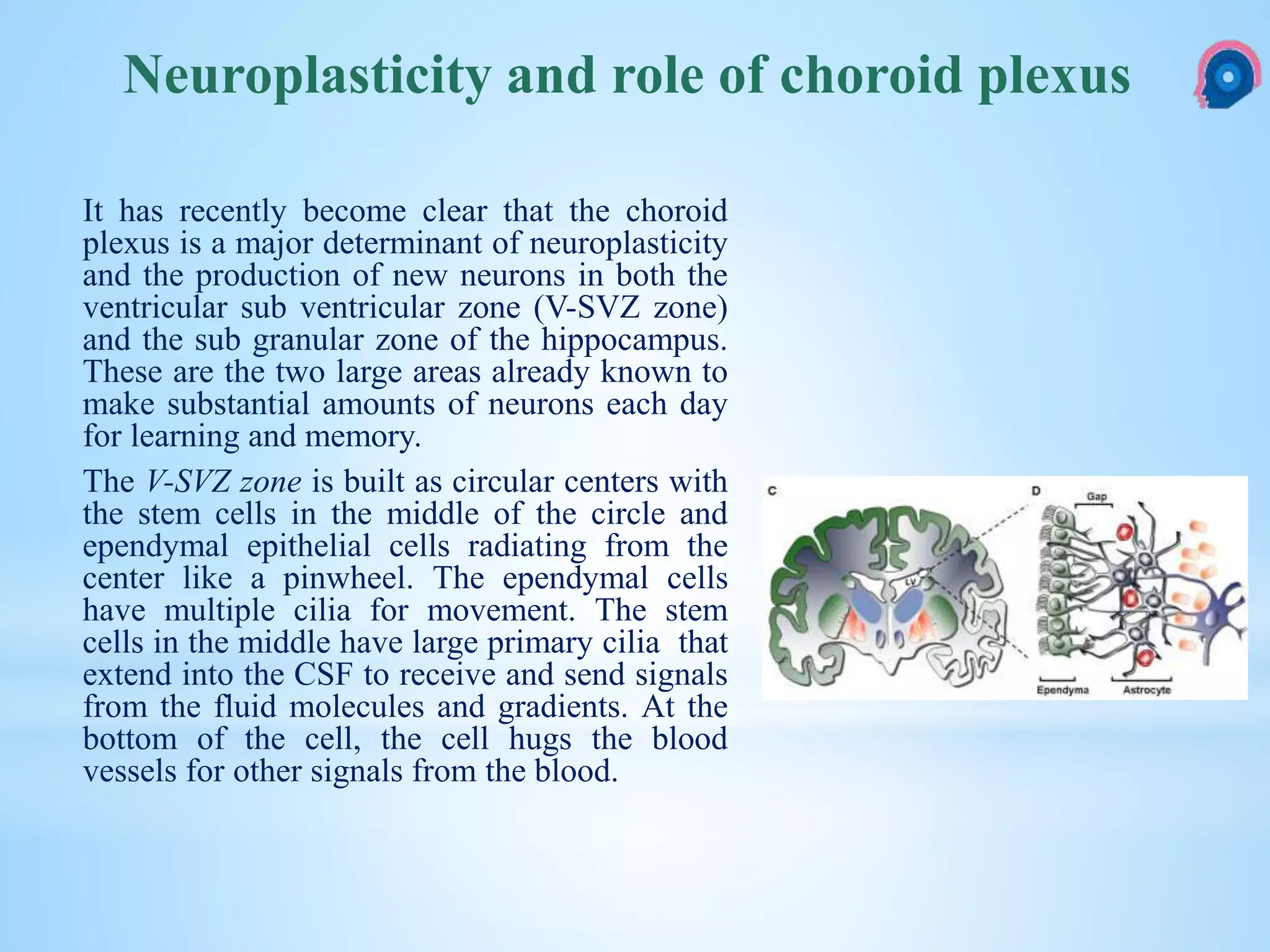Choroid plexus | PPTX