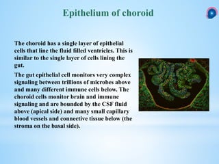 Choroid plexus | PPTX